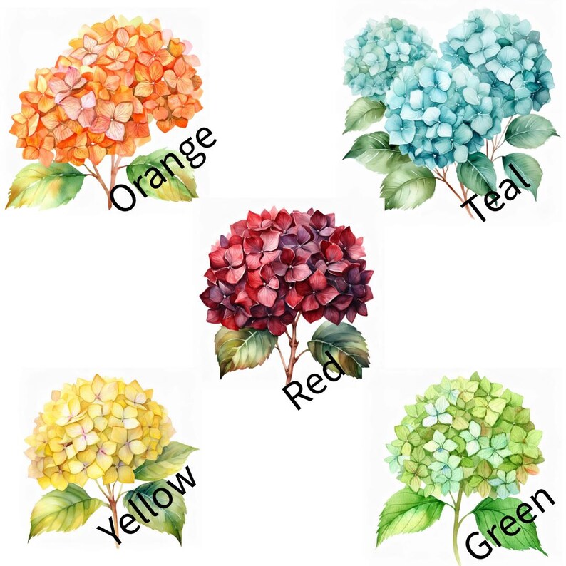 Hydrangea Envelope Seal Stickers | 1.5" Round Floral Labels | Glossy or ...