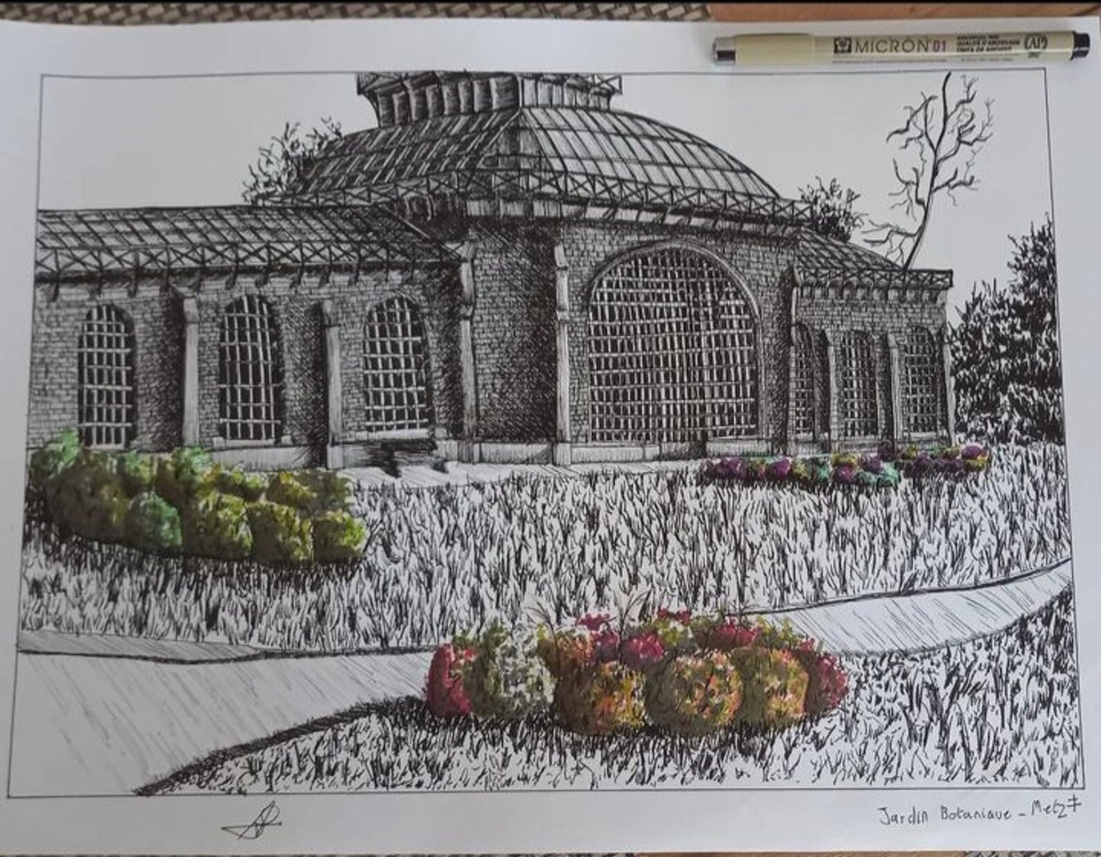 Drawing Architecture Metz - the Botanical Garden - Etsy