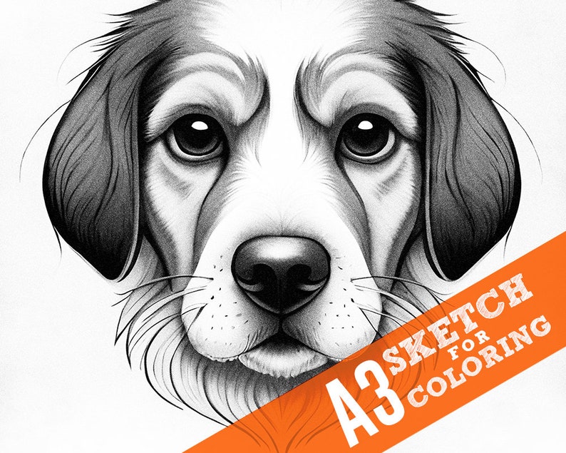 A Cute Dog A3 Sketch for Coloring Practice - Etsy