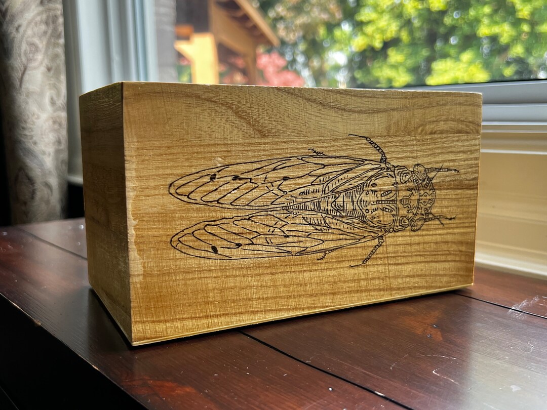 Cicada Wood Burned Pine Plant Box - Etsy