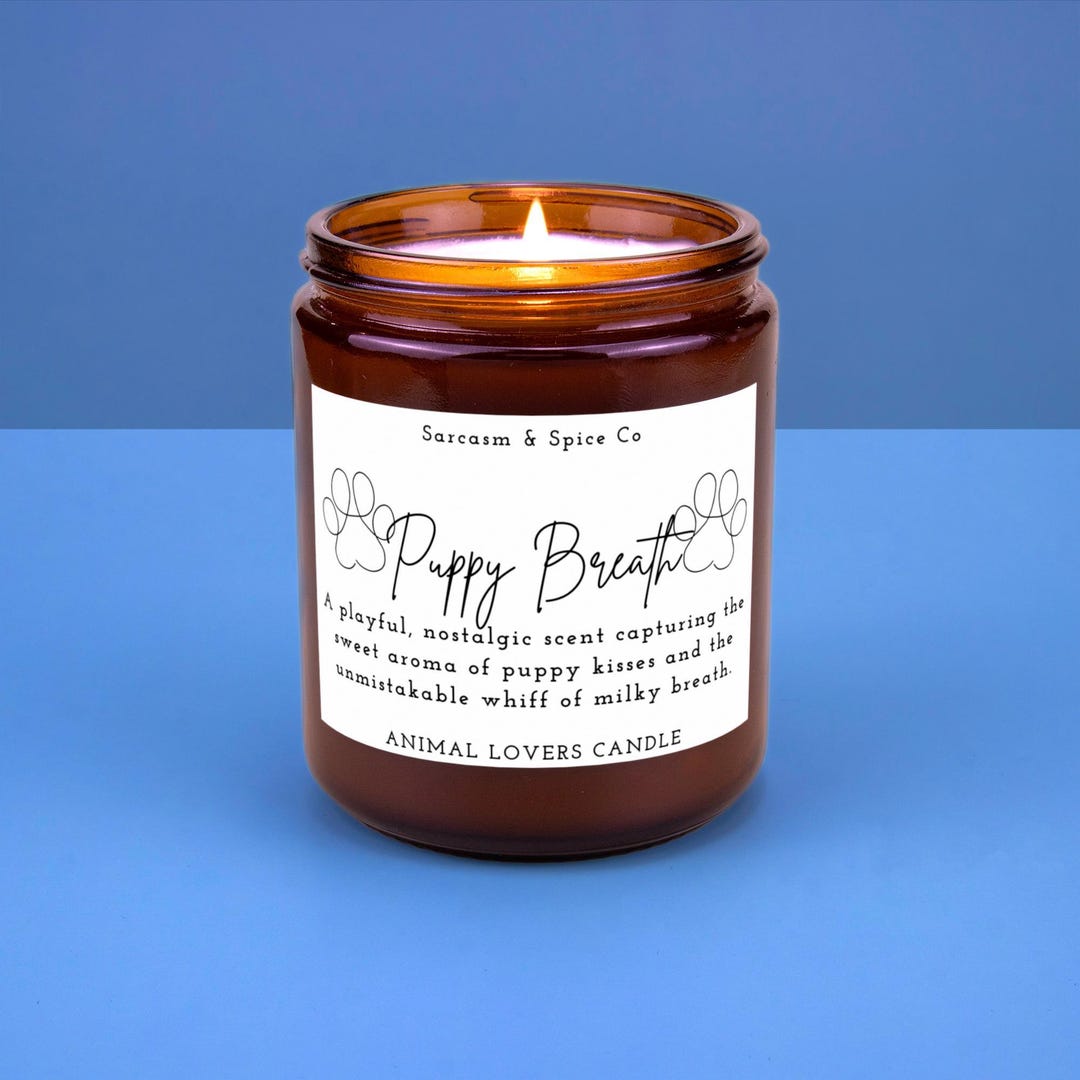 Gift for Vet Tech Gift for Veterinarian Candle Vet Tech Week Pet Lover ...