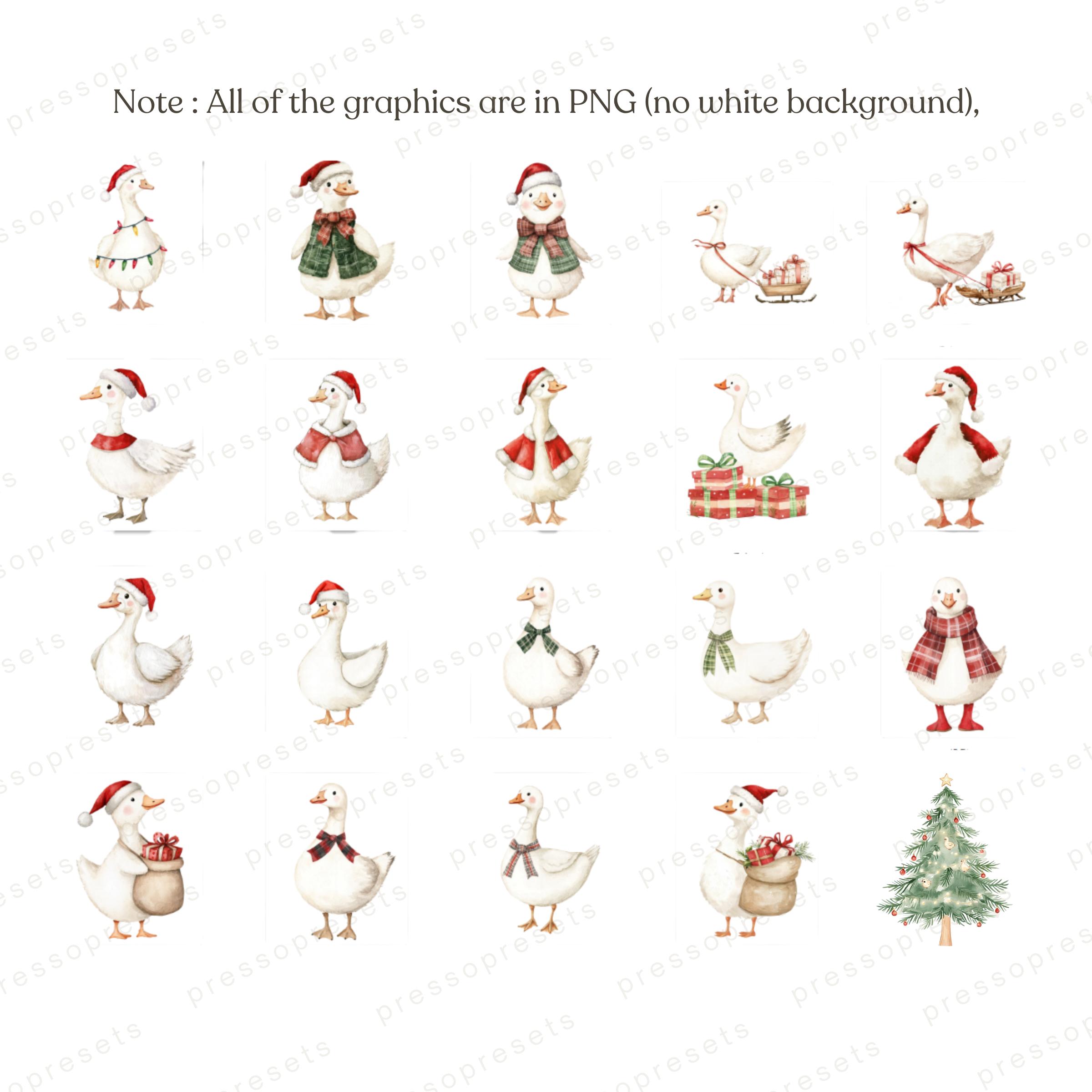 Watercolor Silly Goose Clipart Christmas, Baby Duck Clipart,whimsical ...