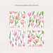 Easter Pink Tulip Watercolor Clipart | Spring Flower Art | Floral ...