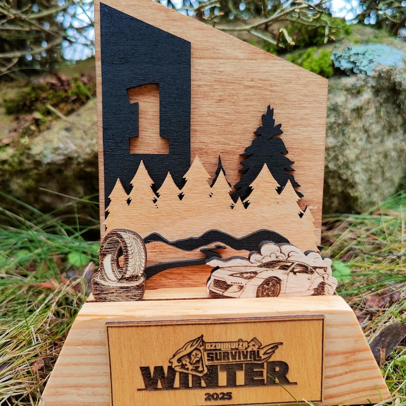 Wood Trophy - Etsy