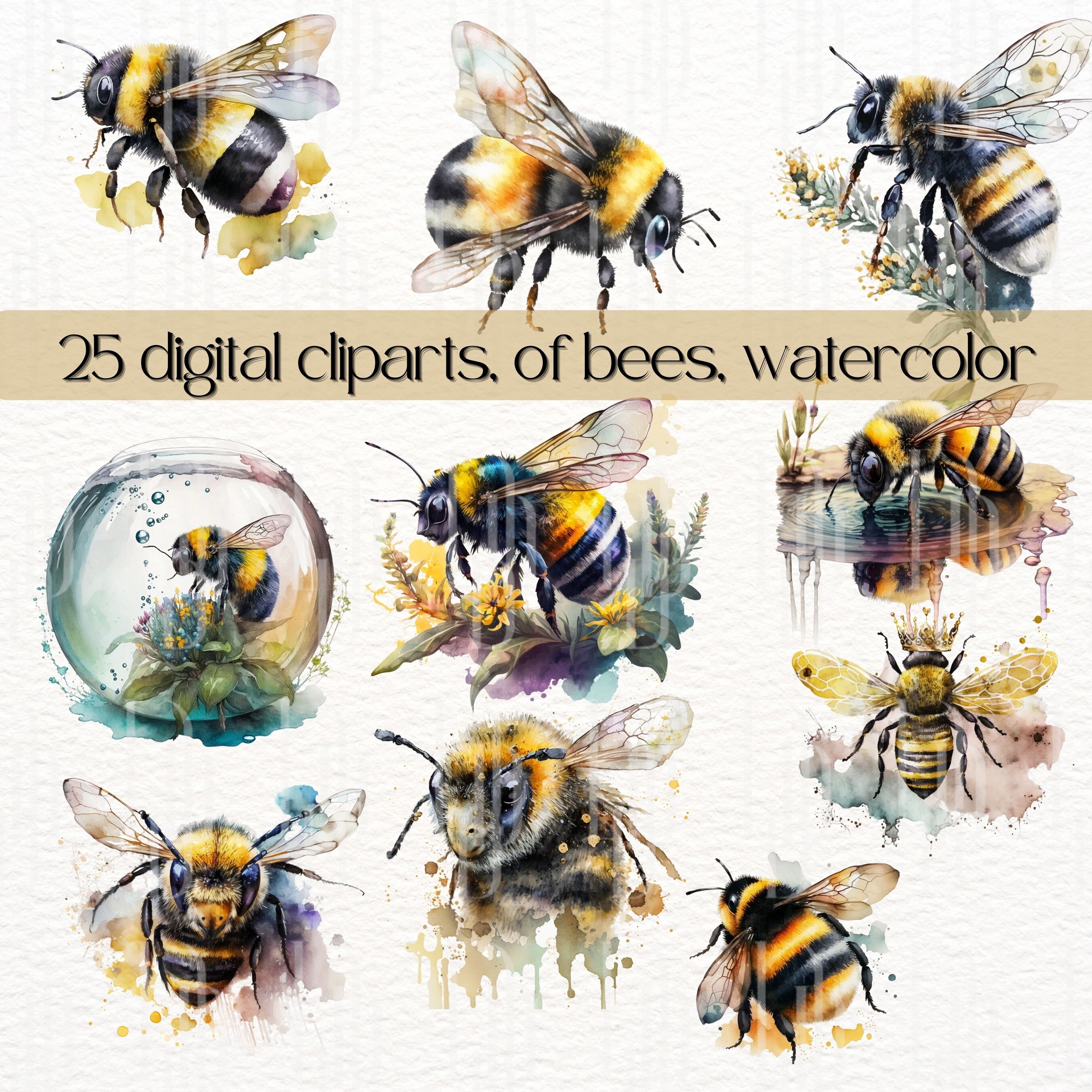 25x Clipart Watercolor Bees Clipart Bumblebee Summer Bee Clipart Honey ...