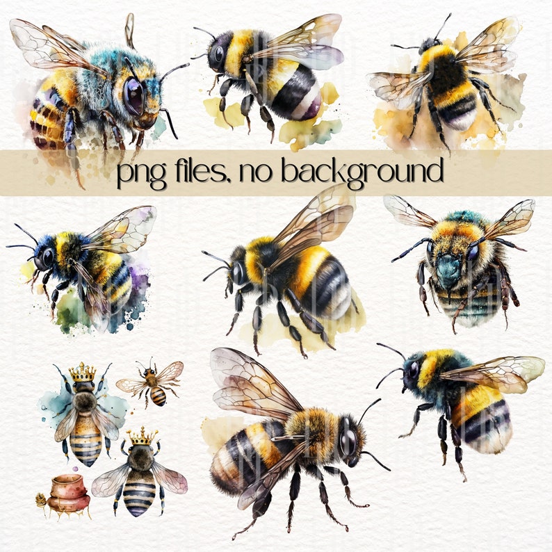 25x Clipart Watercolor Bees Clipart Bumblebee Summer Bee Clipart Honey ...