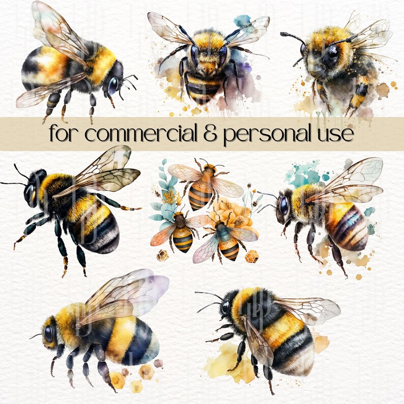 25x Clipart Watercolor Bees Clipart Bumblebee Summer Bee Clipart Honey ...