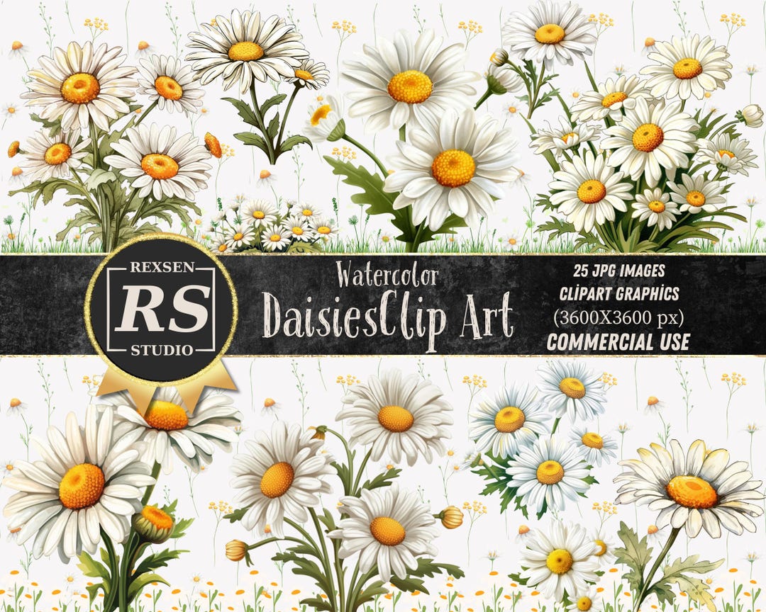 Watercolor Daisies Clipart - Spring Floral PDF Format Instant Download ...