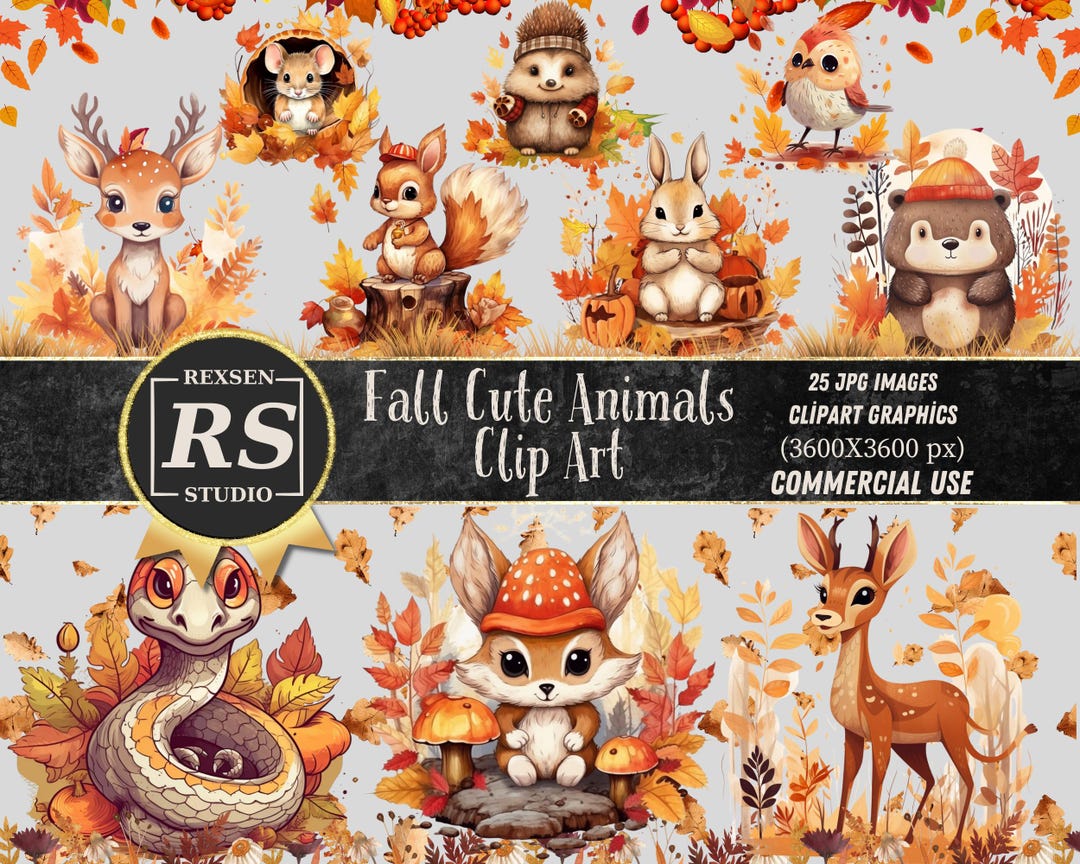Fall Cute Animals Clipart - Whimsical Forest Woodland Animal Clip Art ...