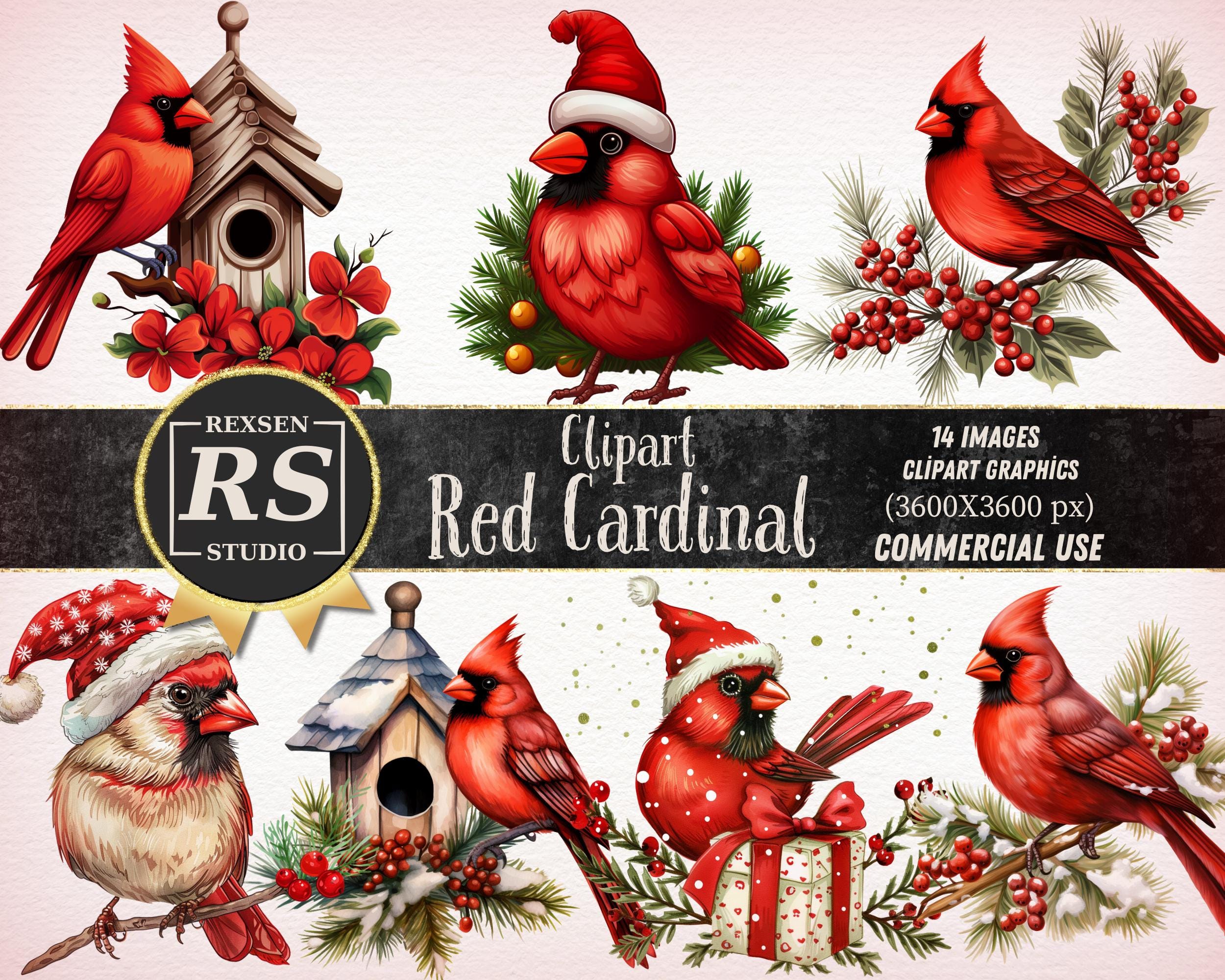 Watercolor Red Cardinal Clipart Bundle, Red Cardinal Christmas PNG ...