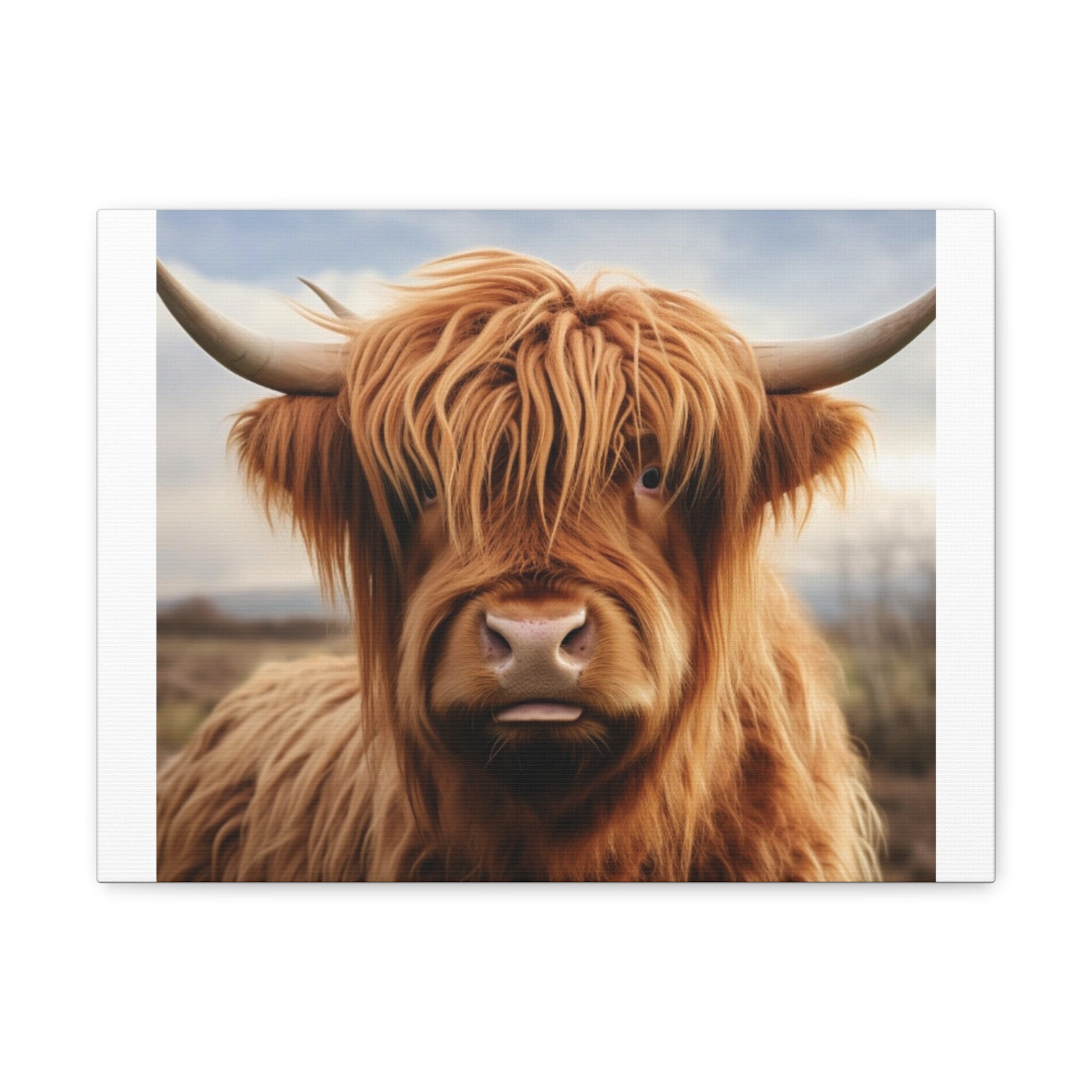 Highland Cow canvas Gallery Wraps - Etsy
