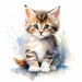 Cute Cat Clipart High Quality Wall Art Kitten Digital Paper - Etsy