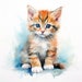 Cute Cat Clipart High Quality Wall Art Kitten Digital Paper - Etsy