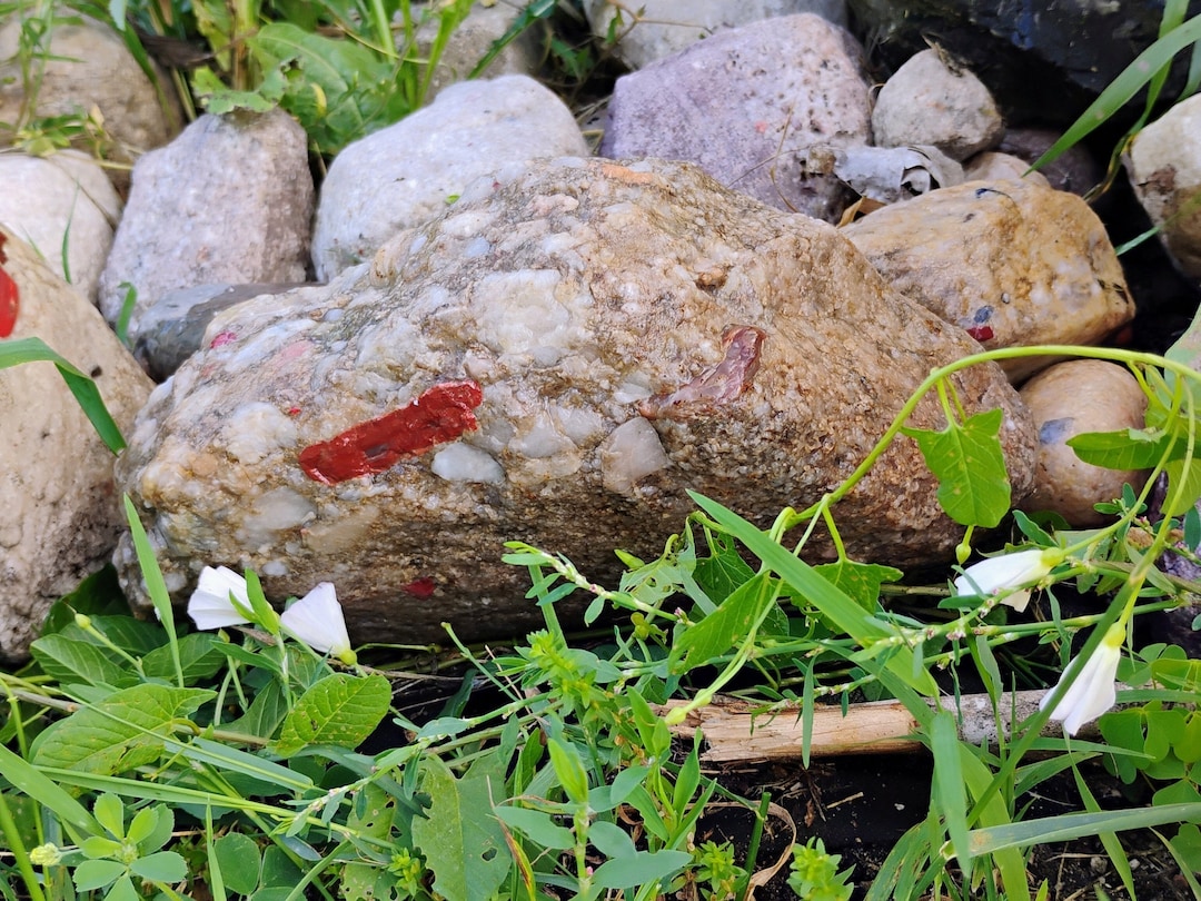 Michigan Pudding Stone - Etsy