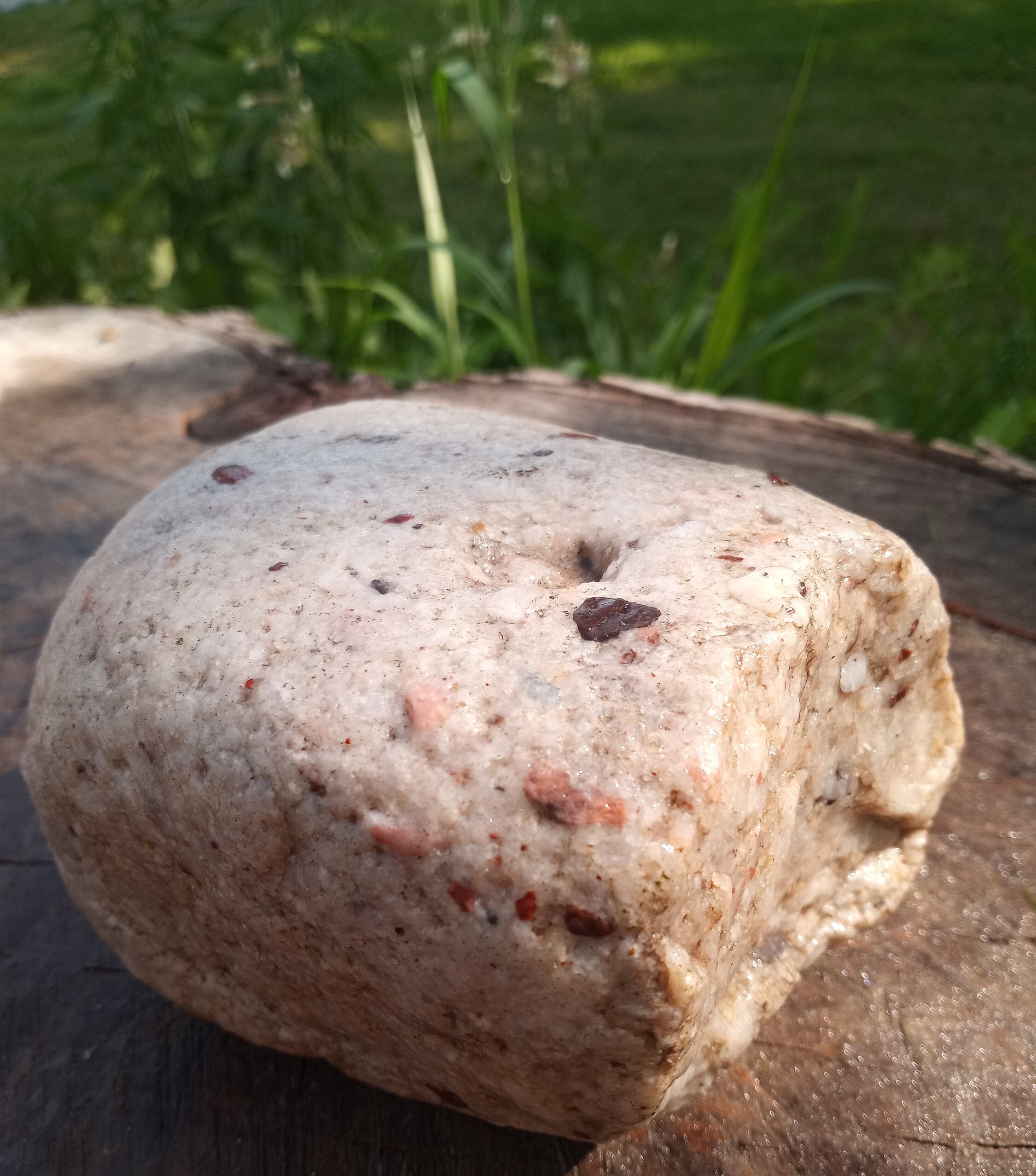 Michigan Pudding Stone - Etsy