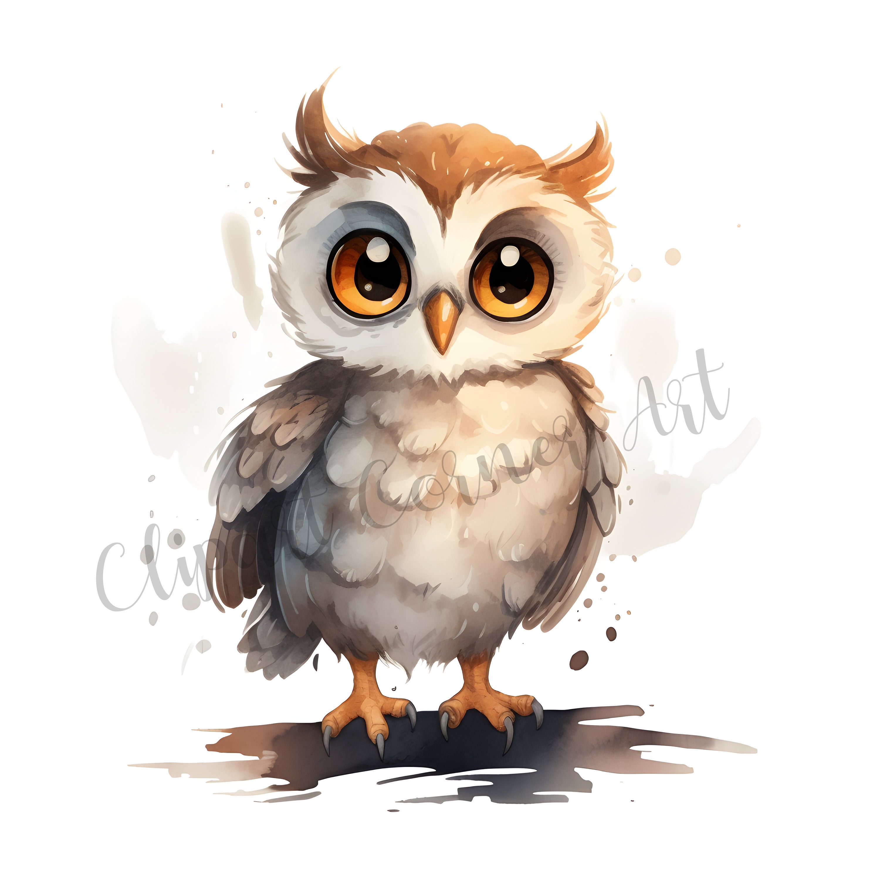 Owl Watercolor Clipart Illustration for Instant Download JPG - Etsy