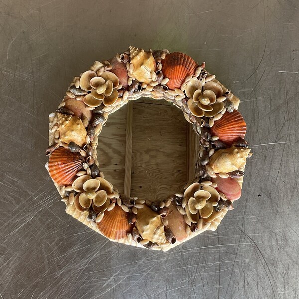 Seashell Mirror - Etsy