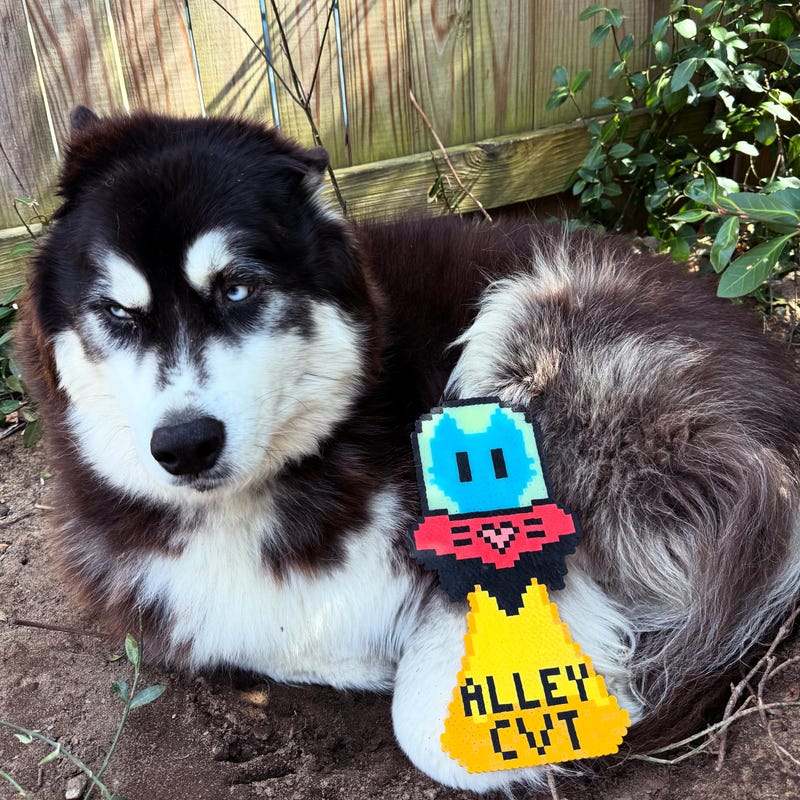 Alleycvt - Etsy