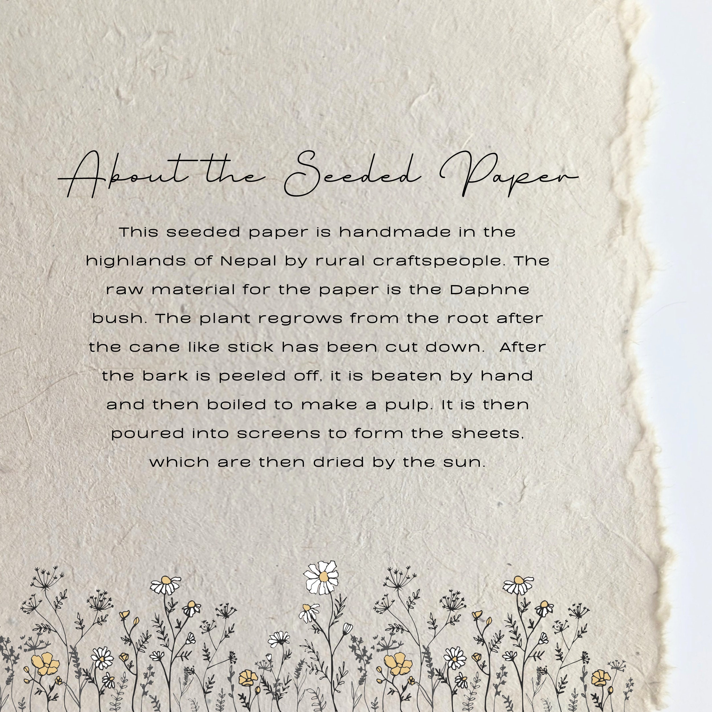 Wildflower Seeded Cards Growing Info | Planting Instructions | Seeded ...