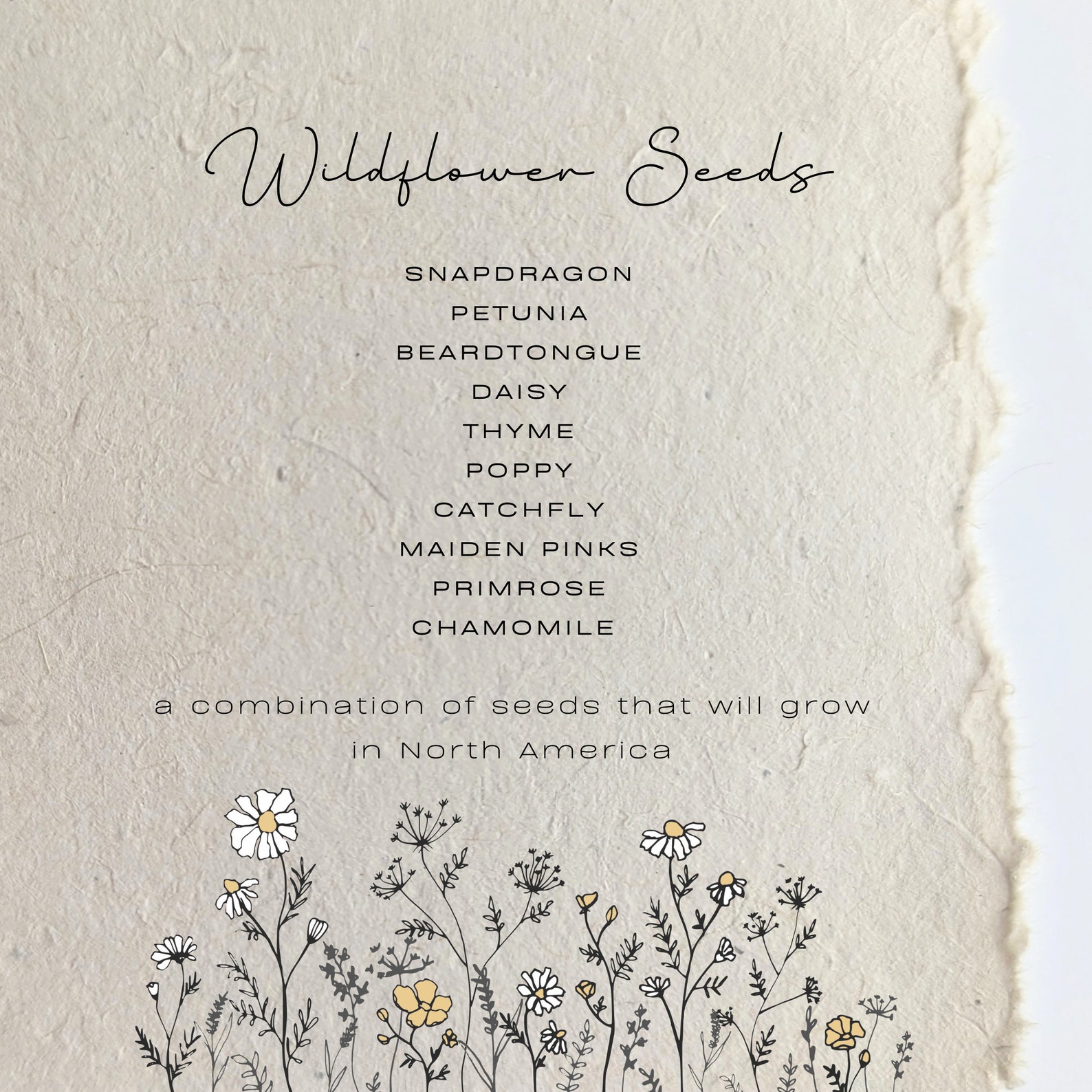 Wildflower Seeded Cards Growing Info | Planting Instructions | Seeded ...