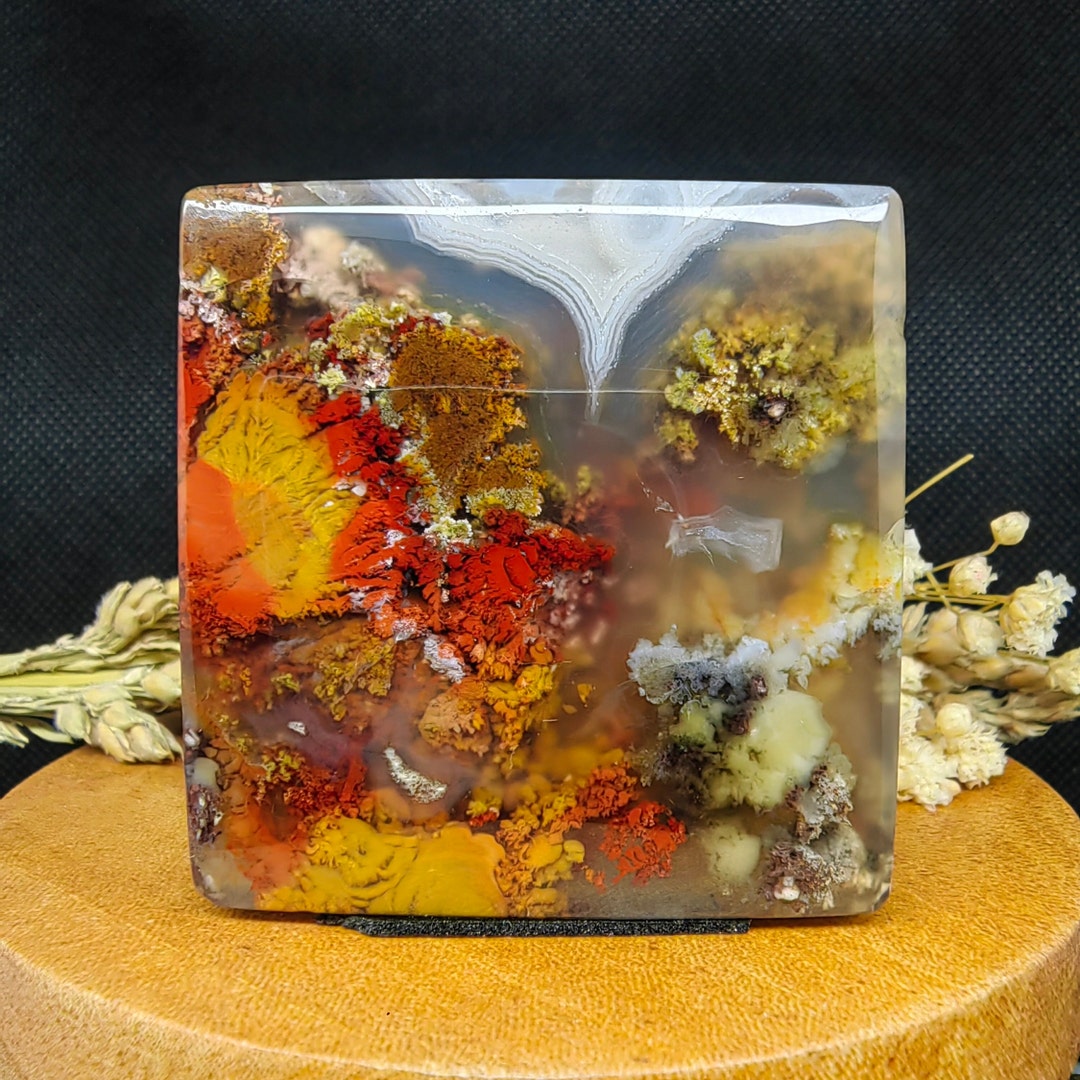 High Grade Multycolor RECTANGLE Cabochons Scenic MOOS AGATE Size ...