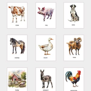 Printable Farm Animals Flashcards GPEG Montessori Flash Cards PDF ...