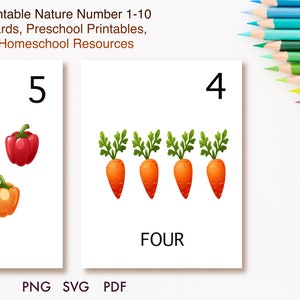 Nature Number Flash Cards 1-10: Montessori Homeschool Printable ...
