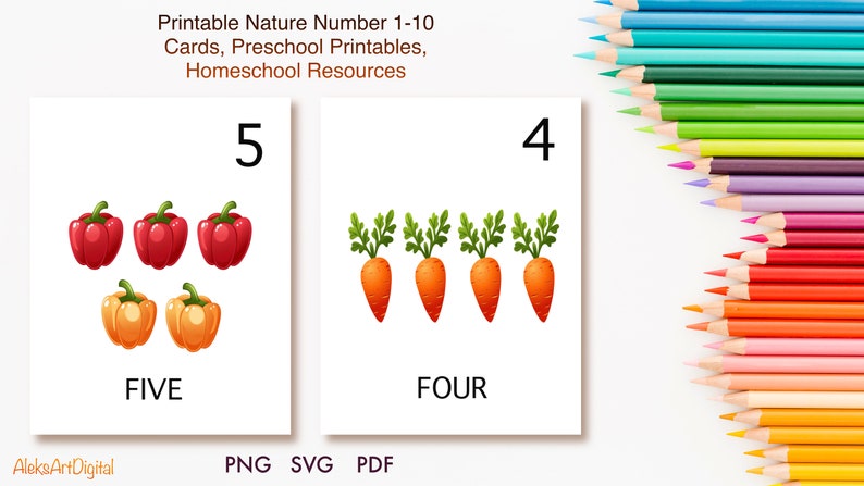 Nature Number Flash Cards 1-10: Montessori Homeschool Printable ...