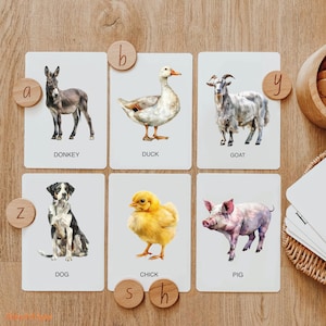 Printable Farm Animals Flashcards GPEG Montessori Flash Cards PDF ...