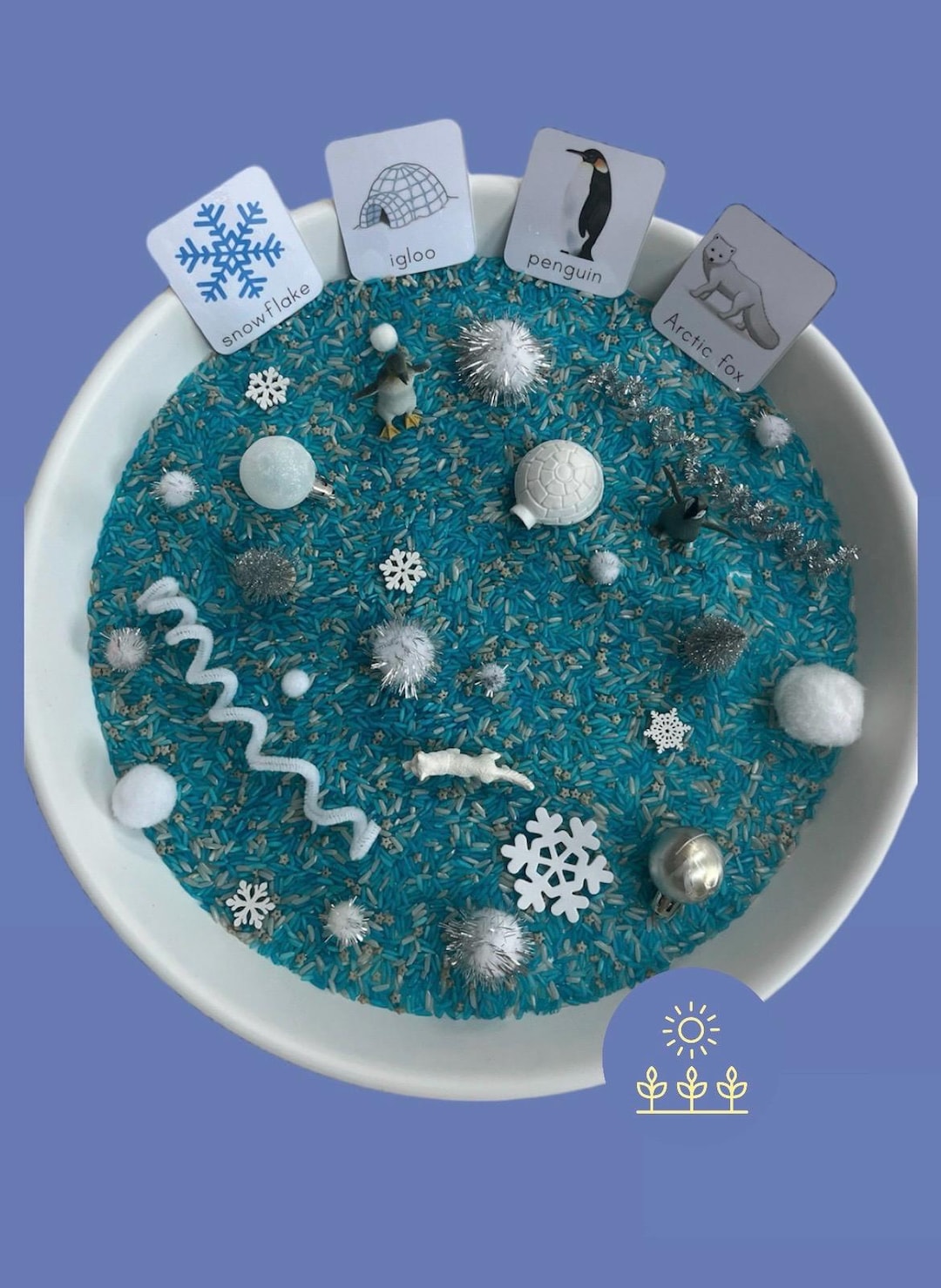 Winter Sensory Pack Arctic Sensory Play Rice Princess Sensory Kit ...