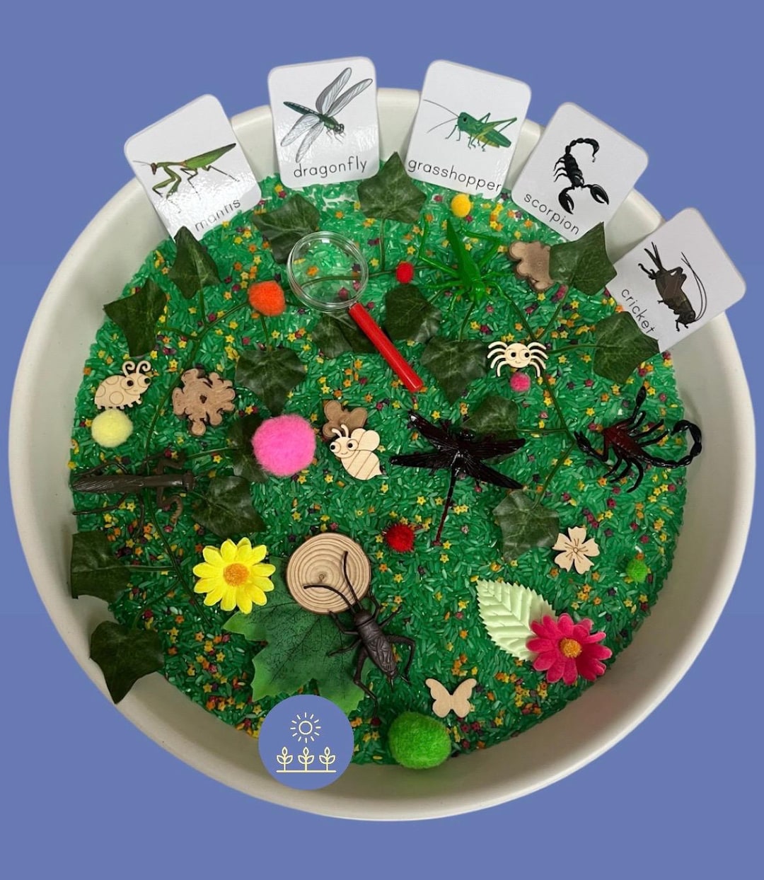Sensory Play Pack - Bugs Sensory Play - Sensory Rice - Sensory Activity ...