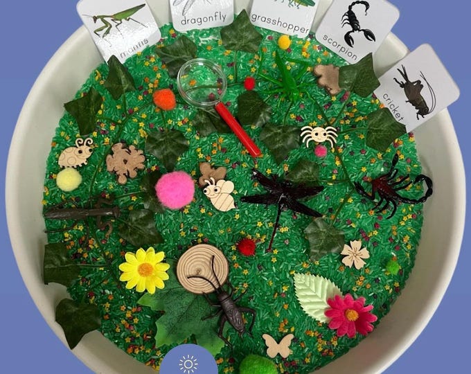 Bug Sensory Kit | Minibeast Hunt | Scavenger Hunt | Sensory Kit | Tuff ...
