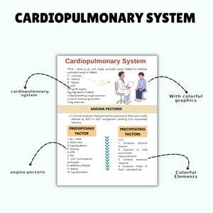 Cardiopulmonary System Study Guide: Anatomy & Physiology (PDF Download ...