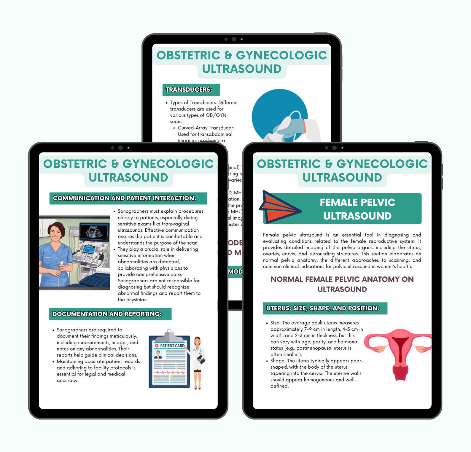 Musculoskeletal Ultrasound Study Guide | Orthopedic Ultrasound ...