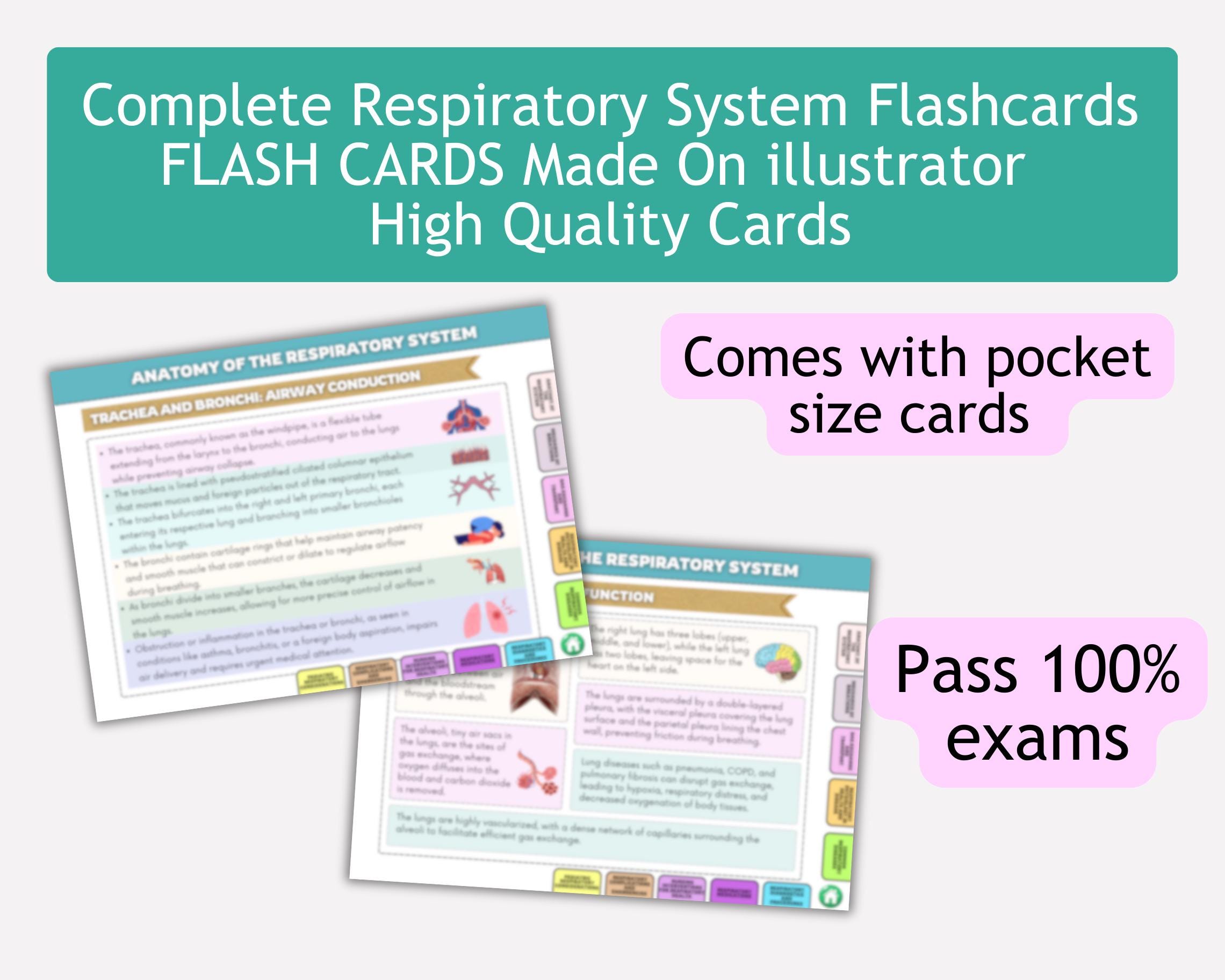 Respiratory System Flashcards Printable | Nursing Study Cards | Anatomy ...