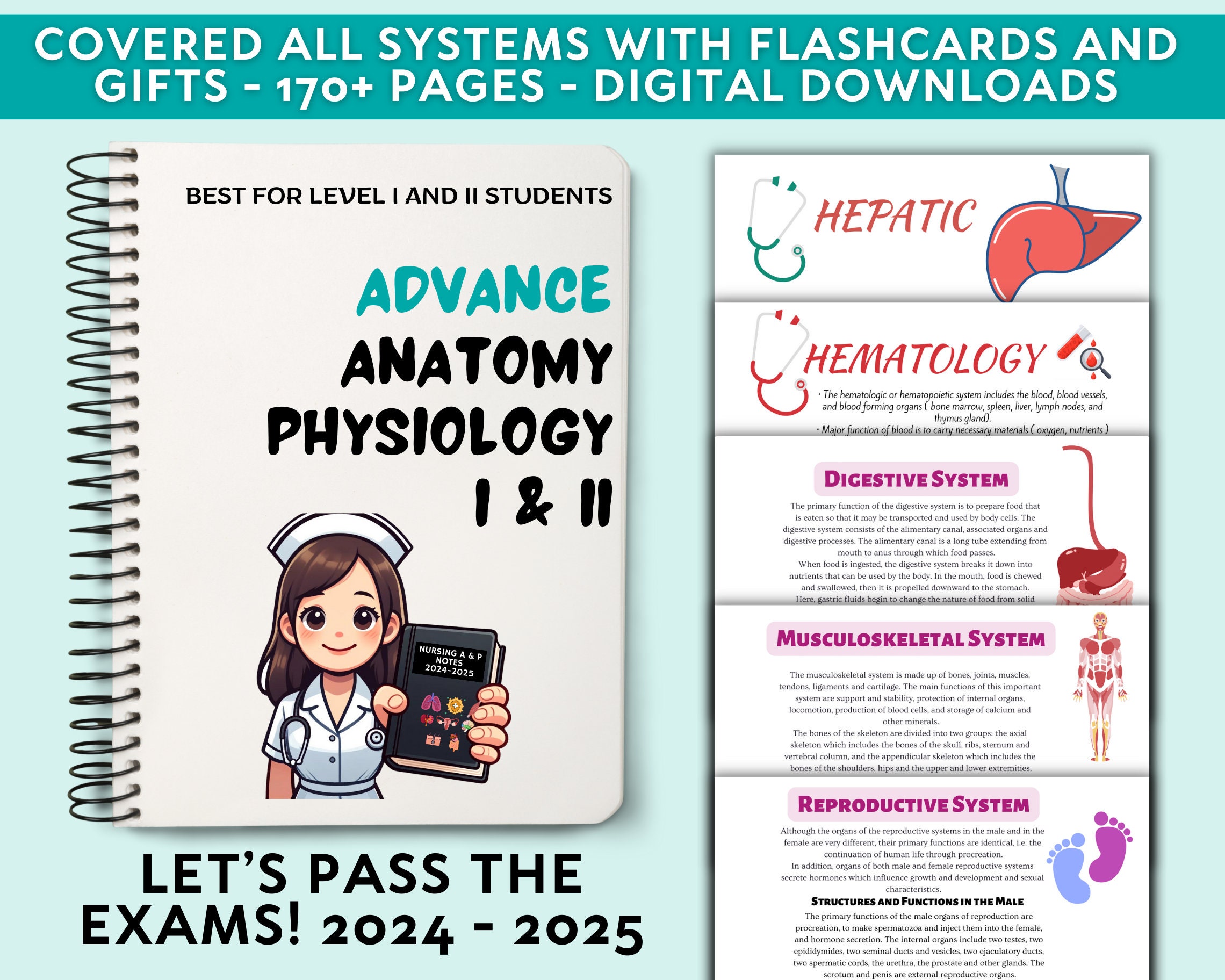 Anatomy and Physiology Nursing Study Guide: 170+ Pages (digital ...