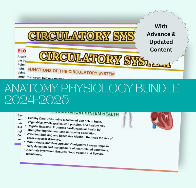 Anatomy and Physiology Flash Cards: Nursing Study Guide (PDF) - Etsy