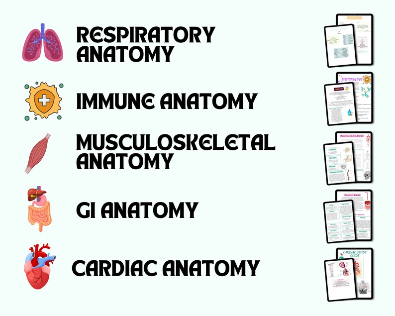 Anatomy and Physiology Nursing Study Guide: 170+ Pages (digital ...