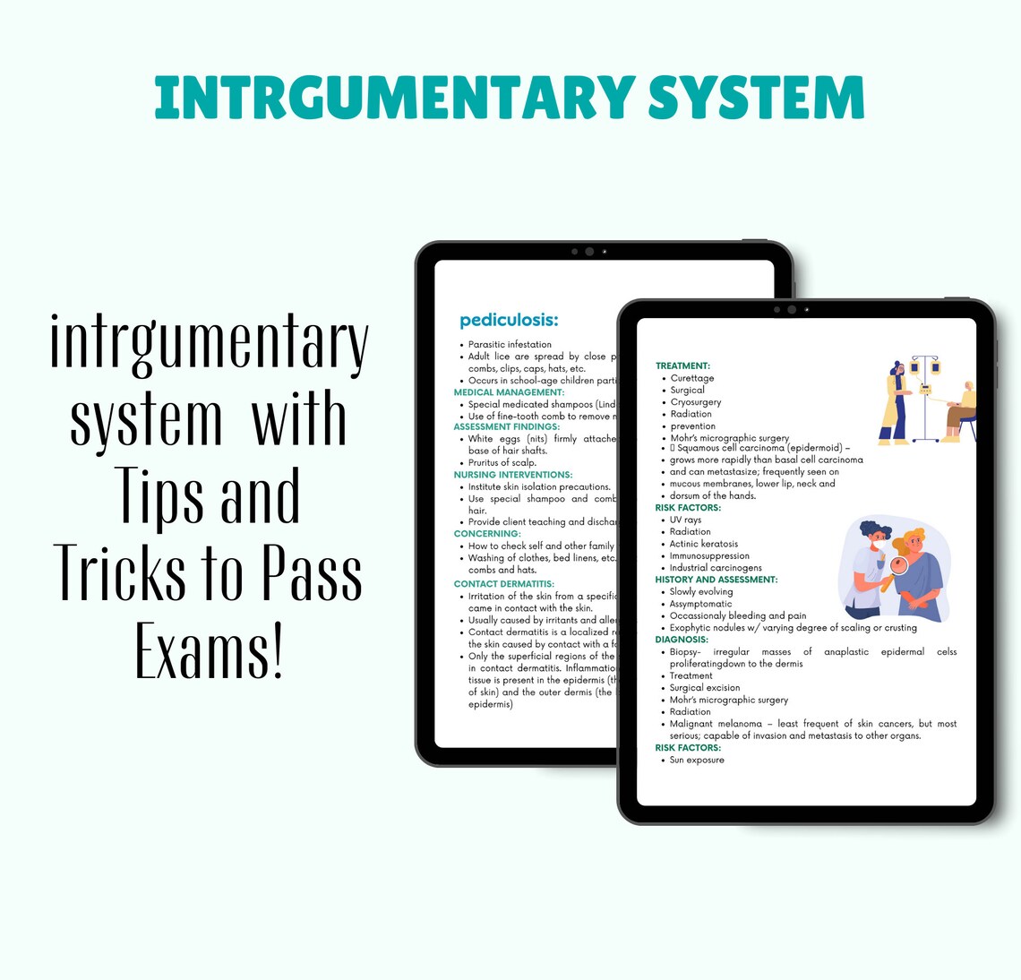 Integumentary System Anatomy Worksheets Skin Activities Human Body ...