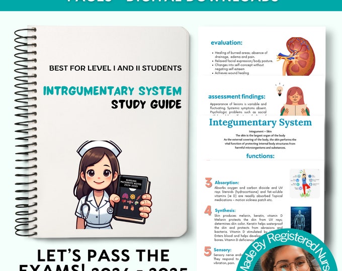 Integumentary System Study Guide: Anatomy & Physiology Notes (digital ...