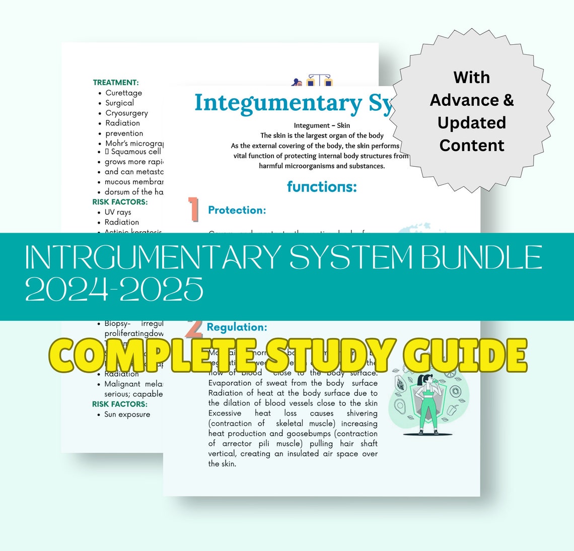Integumentary System Anatomy Worksheets Skin Activities Human Body ...