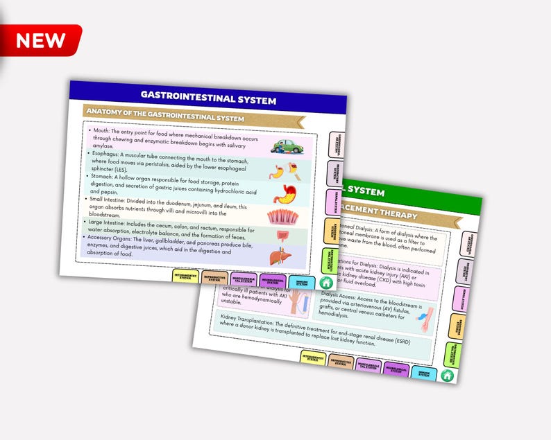Pathophysiology Study Guide 2026 | Nursing Flashcards (printable PDF ...