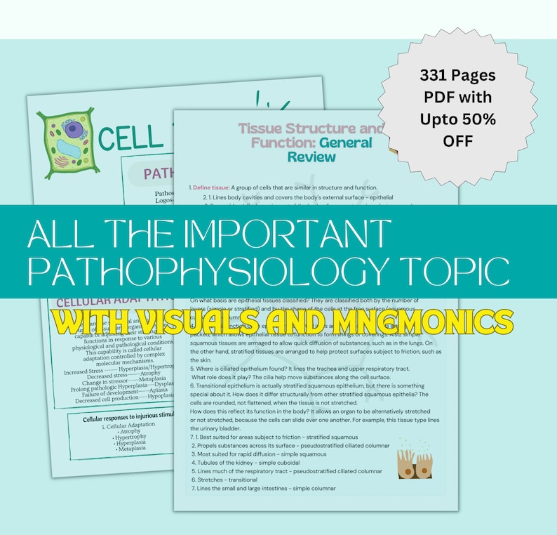 Pathophysiology Nursing Study Guide Bundle: 330+ Pages (digital ...