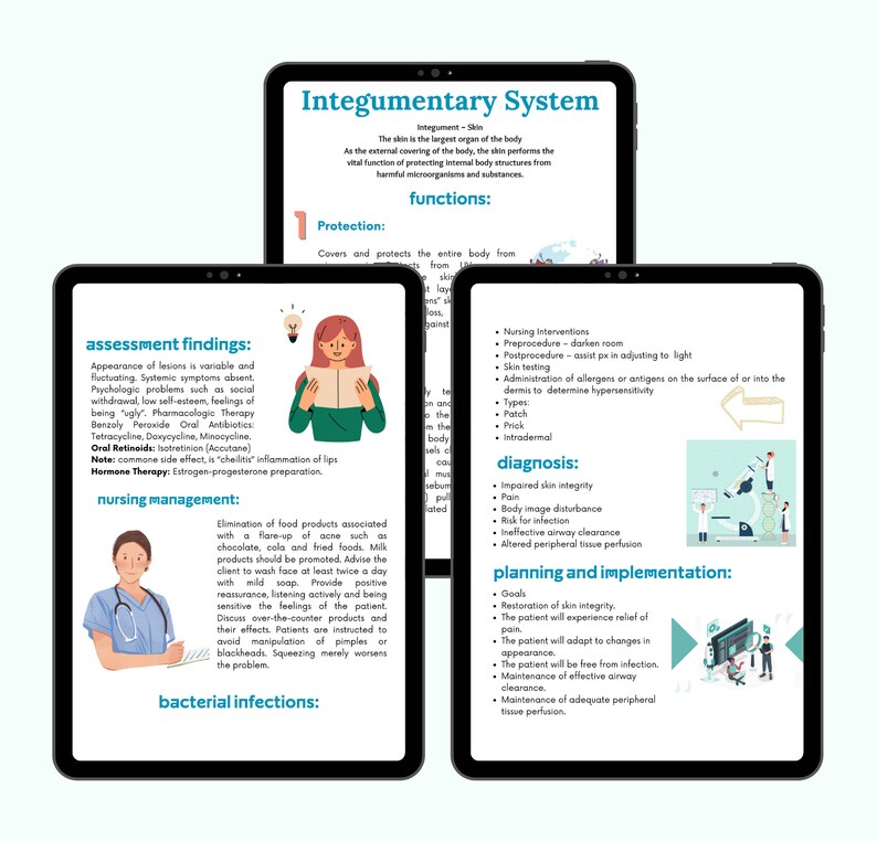 Integumentary System Study Guide: Anatomy & Physiology Notes (digital ...