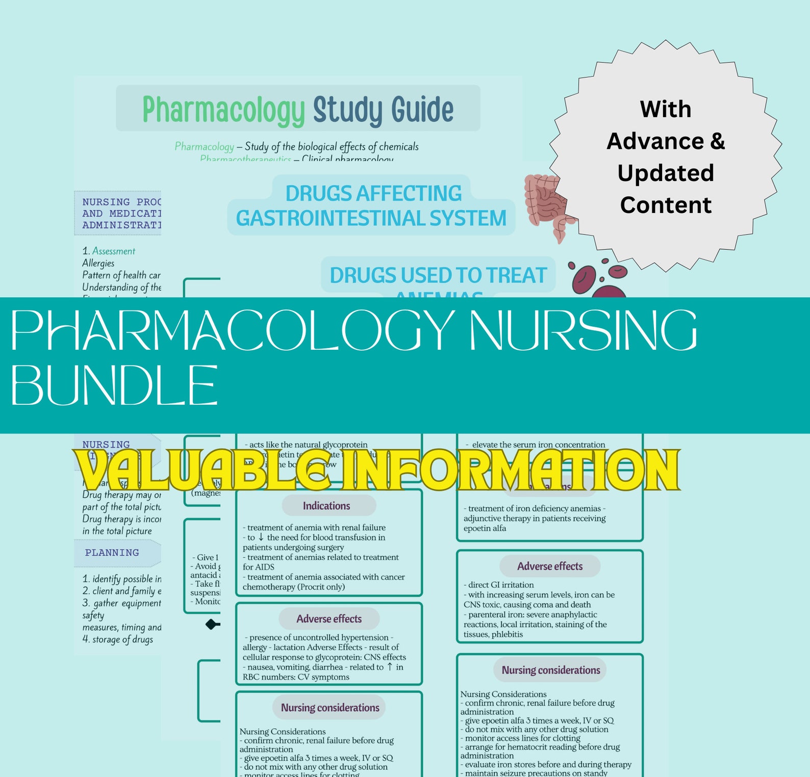 Ultimate Nursing School Notes Bundle 395+ Pages Volume II - Digital ...