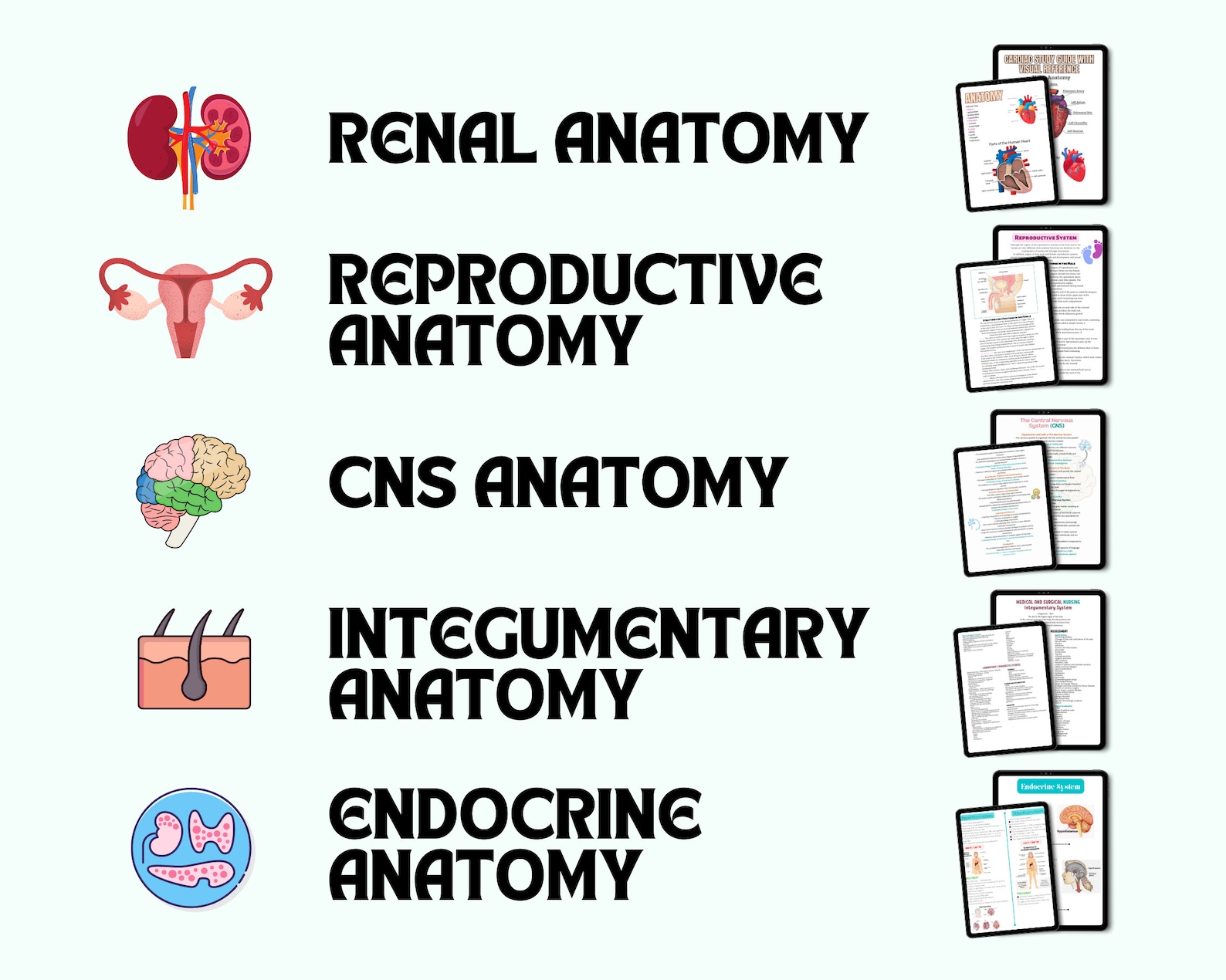 Complete Anatomy and Physiology Nursing 170+ Pages, Anatomy Study Guide ...