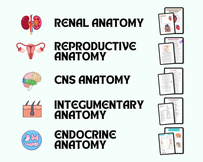 Anatomy and Physiology Nursing Study Guide: 170+ Pages (digital ...