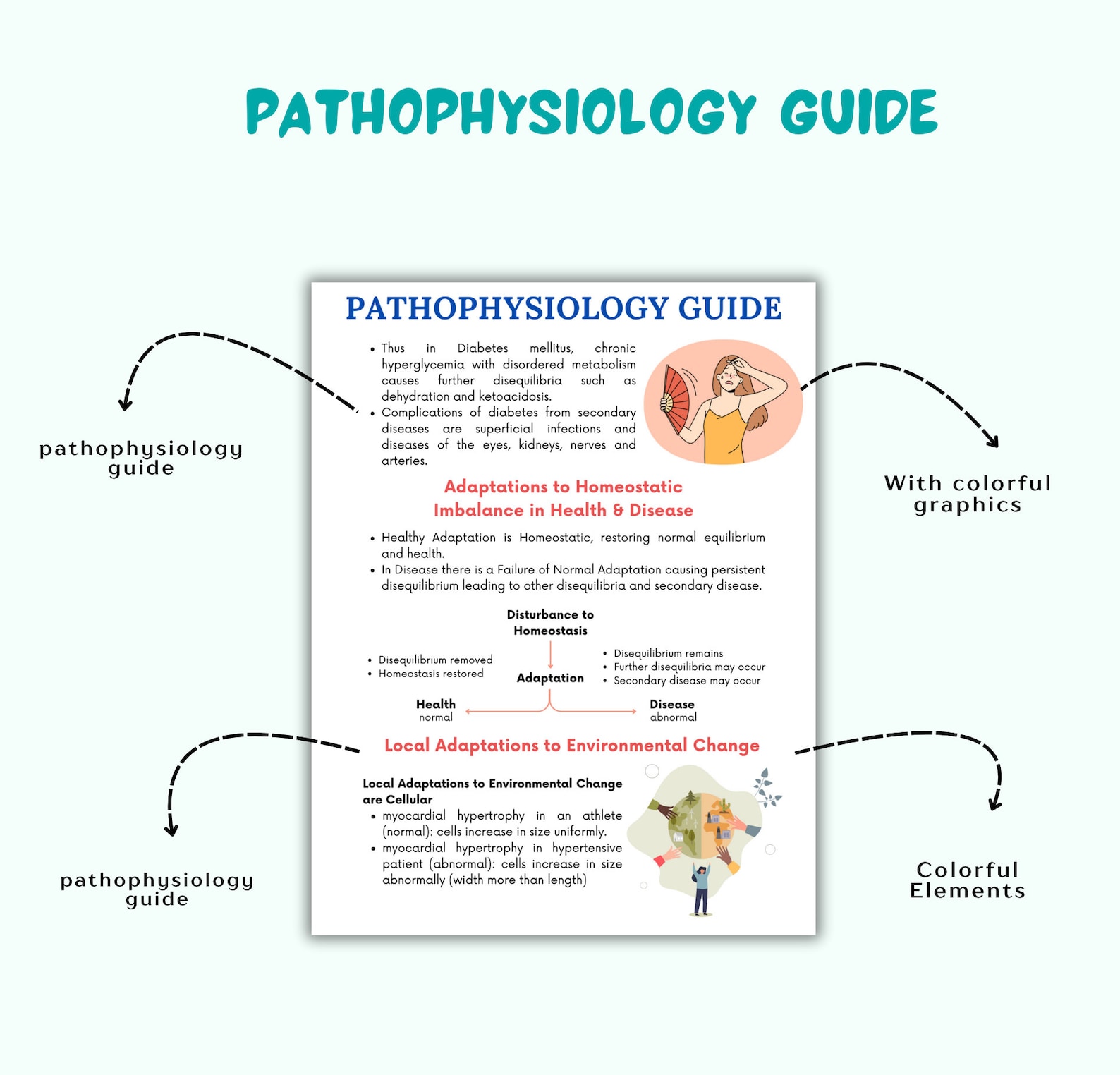 Pathophysiology Study Guide Bundle, Pathophysiology Nursing, Nursing ...
