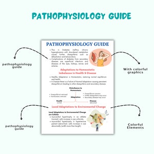 Pathophysiology Study Guide Bundle: Nursing School Notes (digital ...