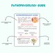 Pathophysiology Study Guide Bundle, Pathophysiology Nursing, Nursing ...